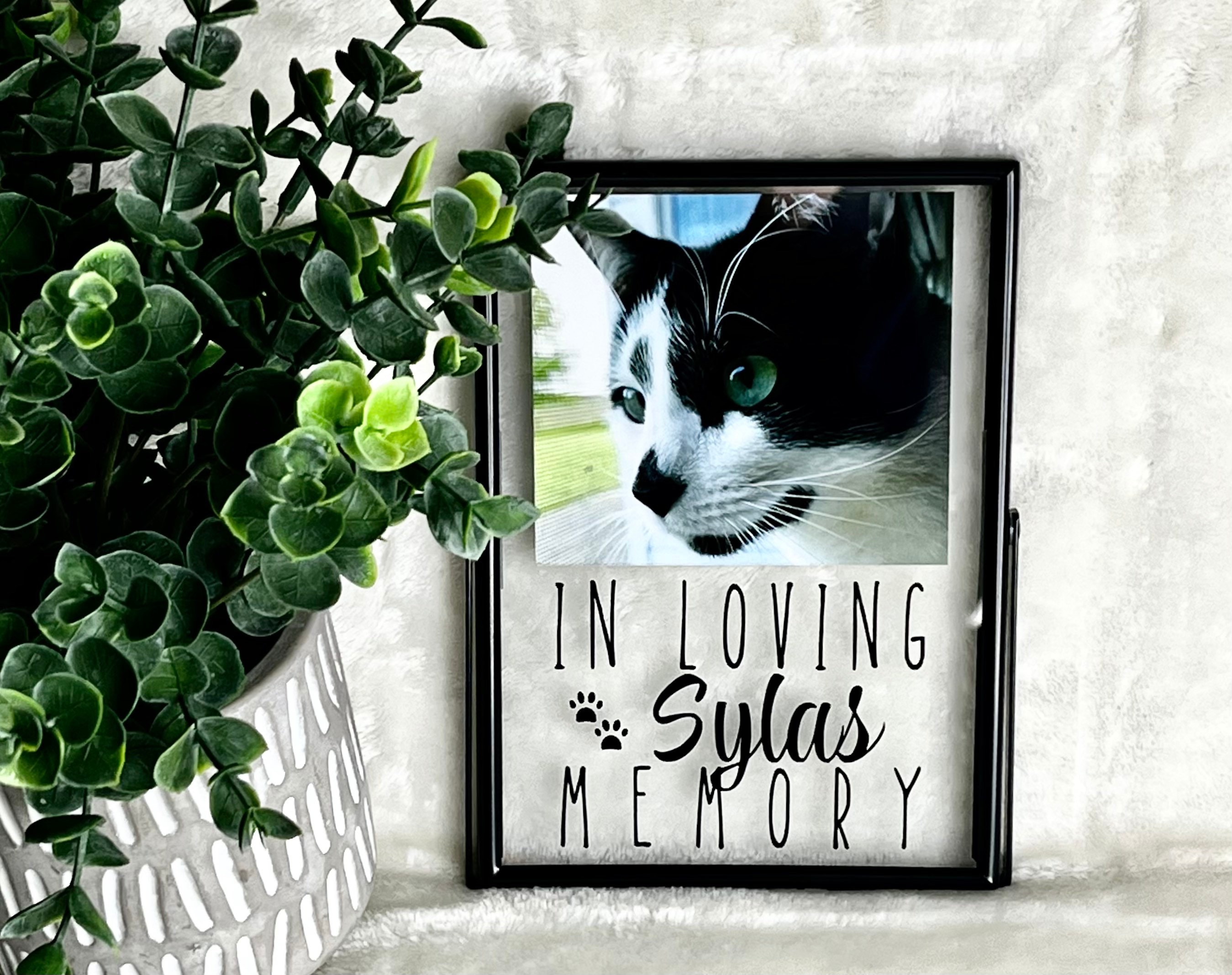 Cat Lovers Custom Cat Frame With Picture Customizatble - Etsy