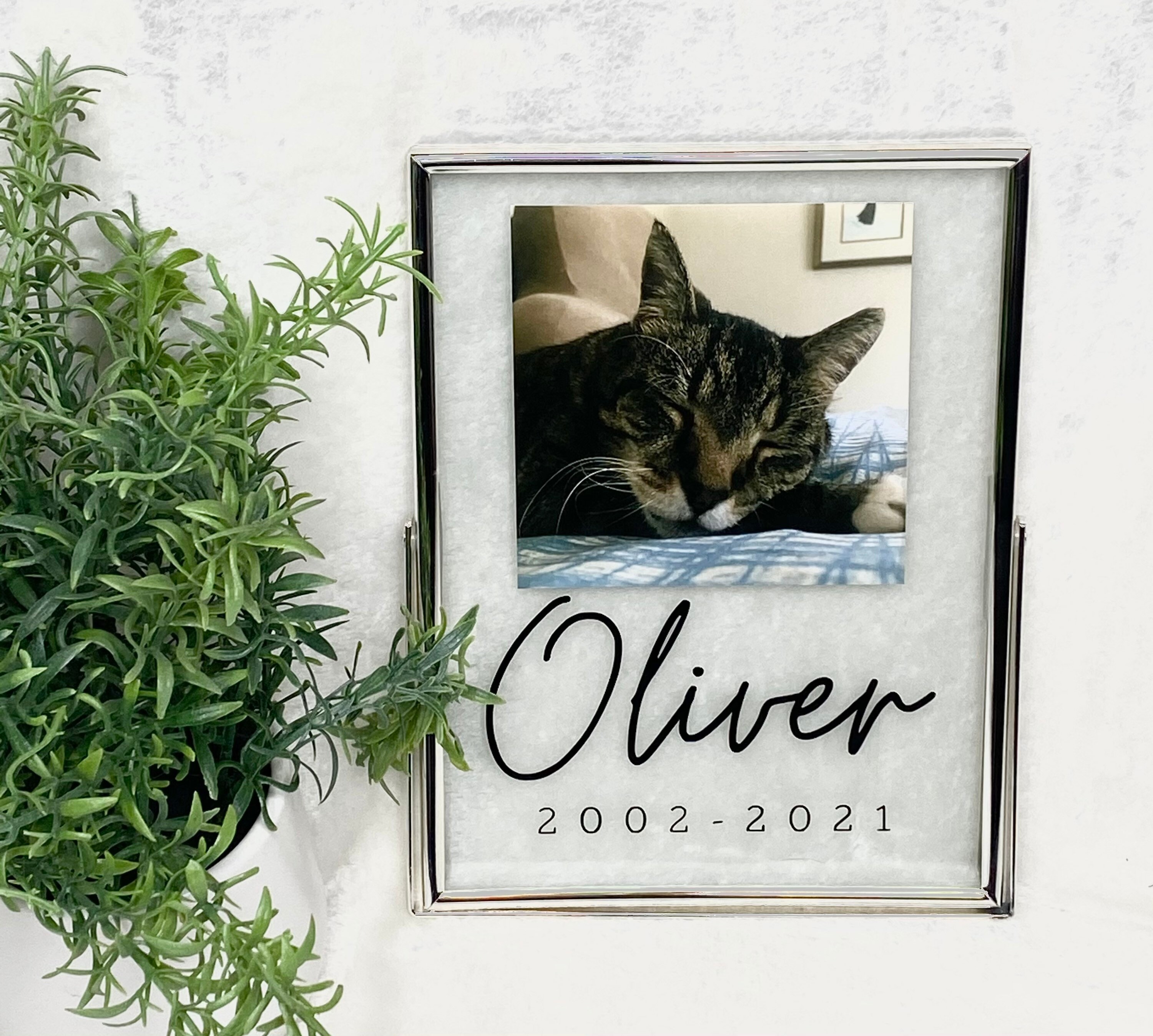 Cat Lovers Custom Cat Frame With Picture Customizatble - Etsy