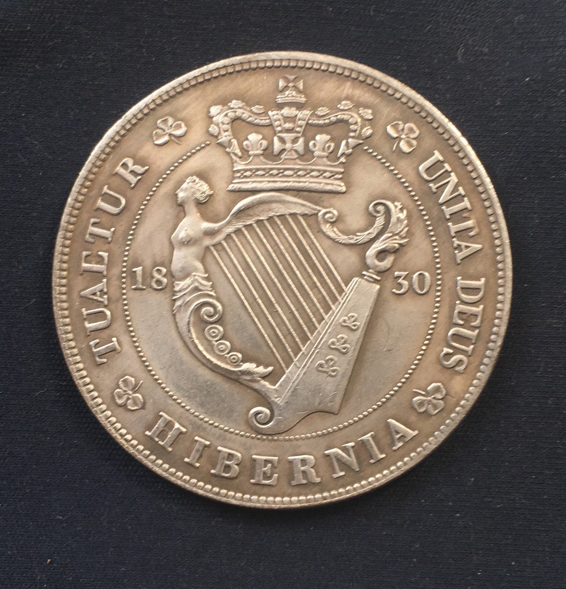George 1V 1830 Hibernian Crown / Old Irish Coin | Etsy