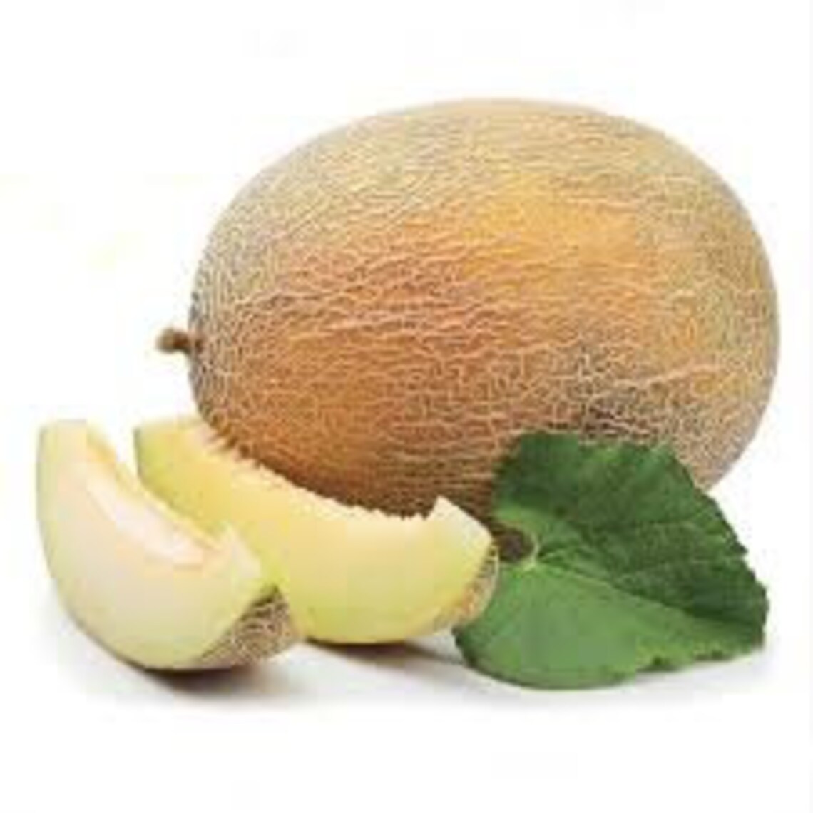 Natural Melon Bukharka Heirloom / Open Pollinated Seeds NON | Etsy