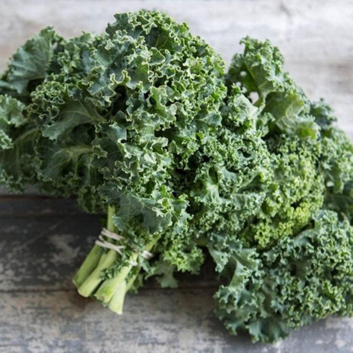 Natural Kale Meadowlark Heirloom / Open Pollinated Seeds NON | Etsy