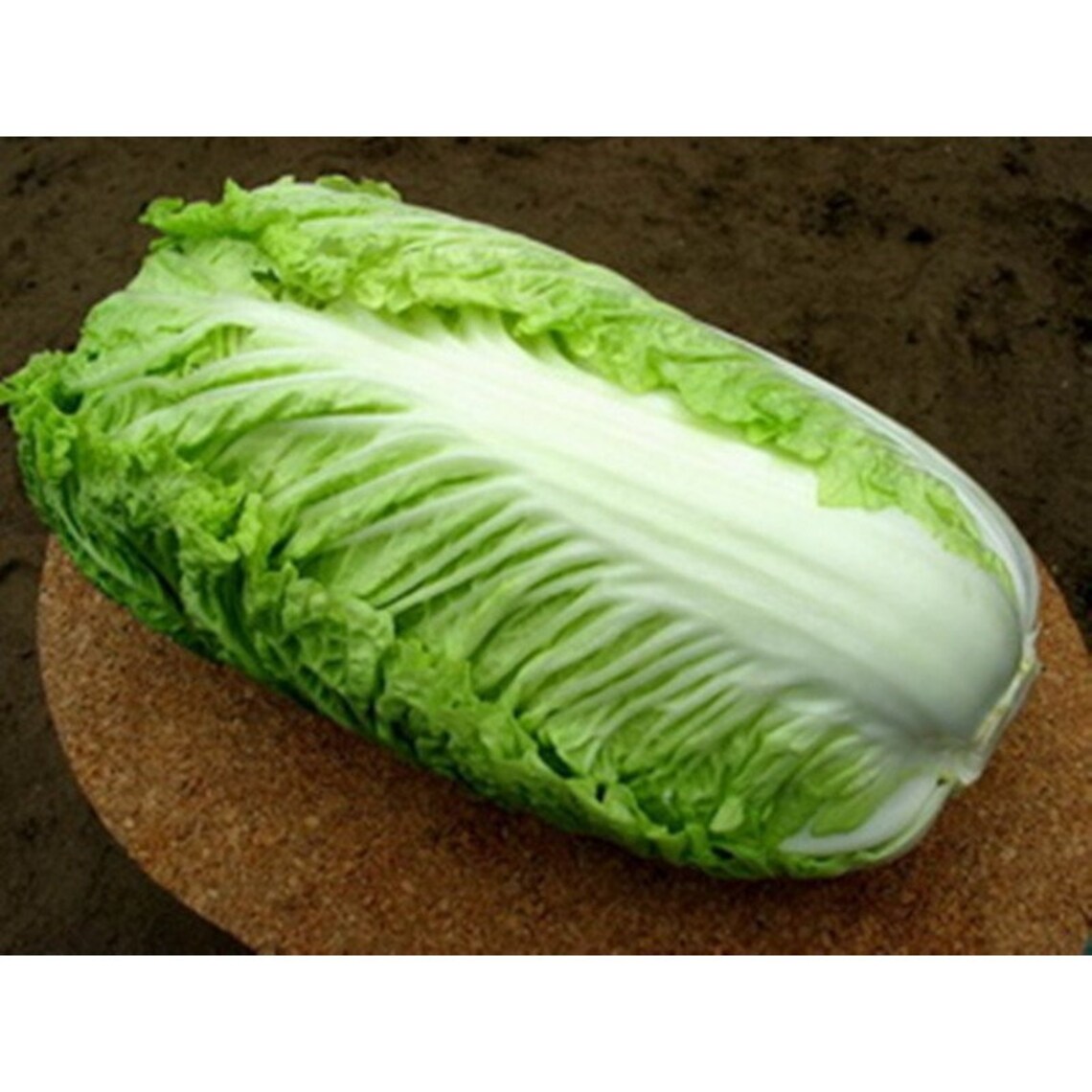 Légume naturel Napa Chou chinois Bokal Graines Biologique - Etsy France