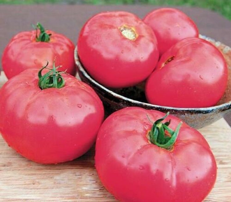 Seeds Tomato Mikado Pink Large Vegetable Organic Heirloom - Etsy UK