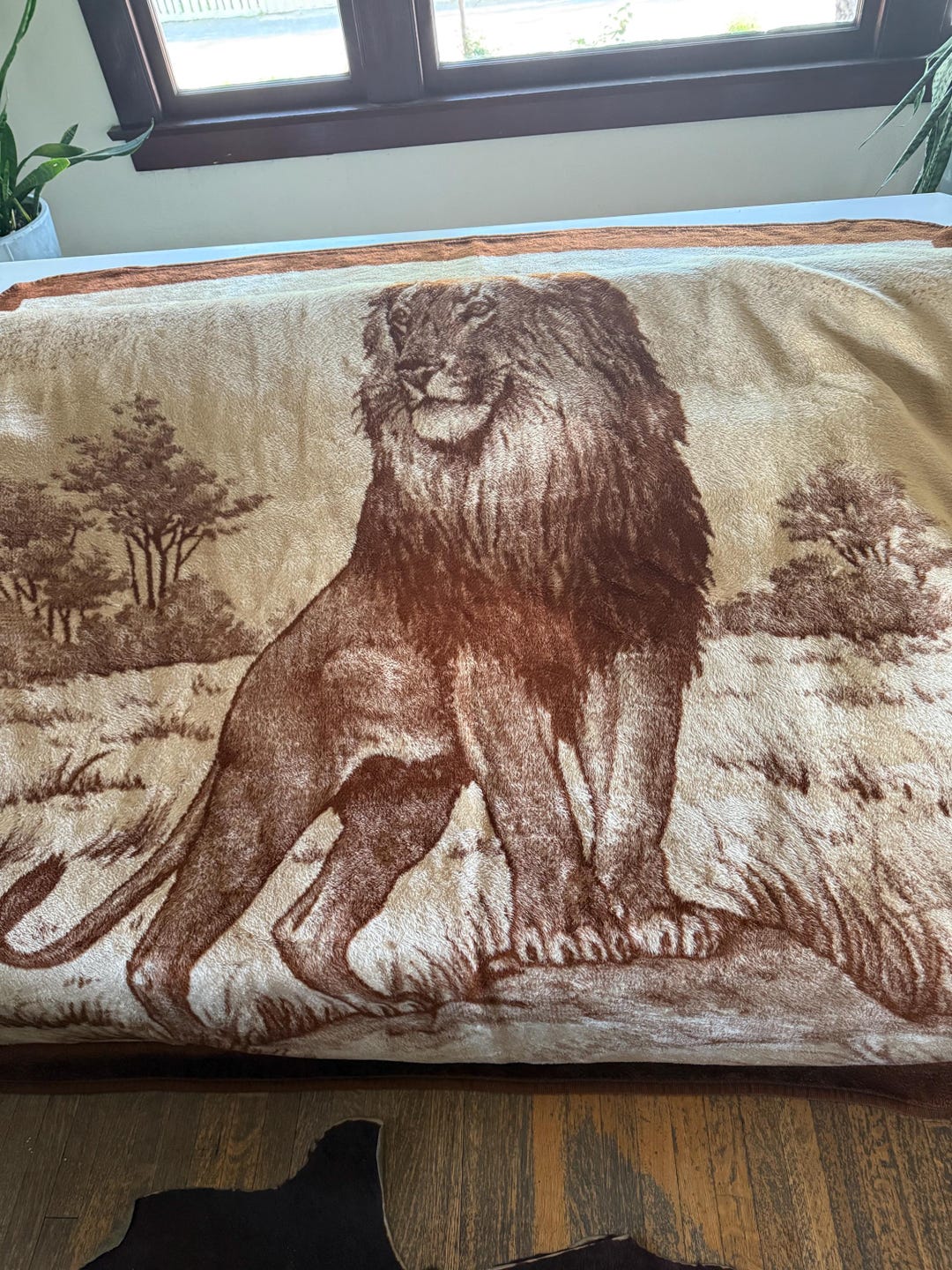 Vintage Large San Marcos Majestic Lion Blanket Fits Queen to King Beige ...