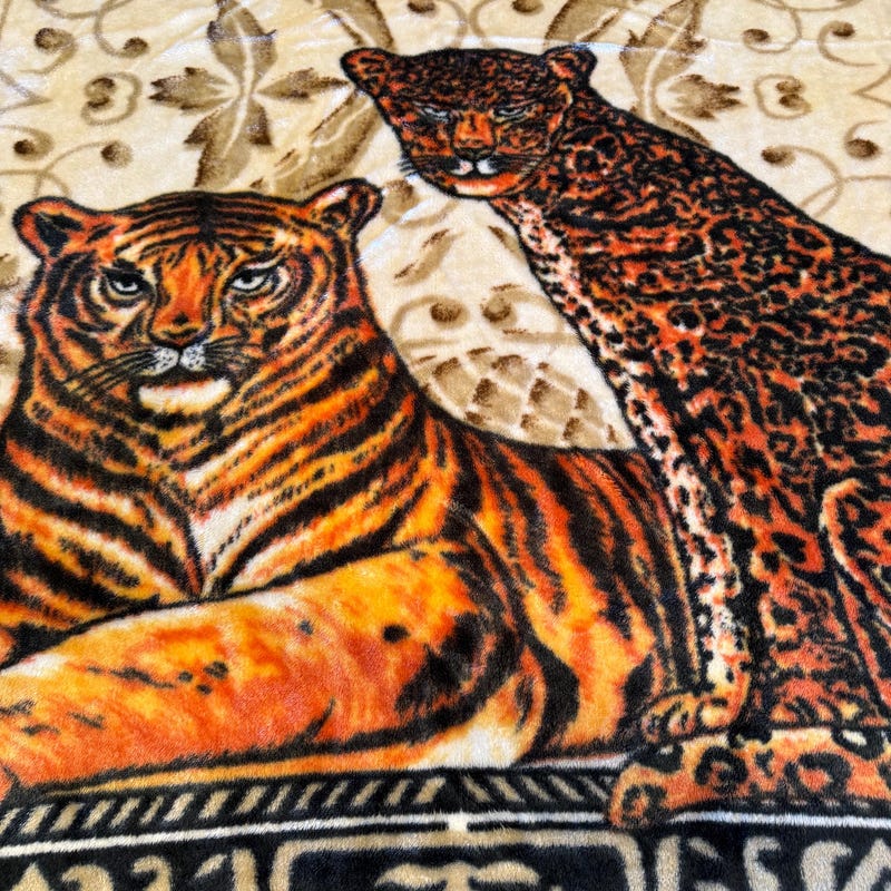 Mexican Blanket Tiger - Etsy