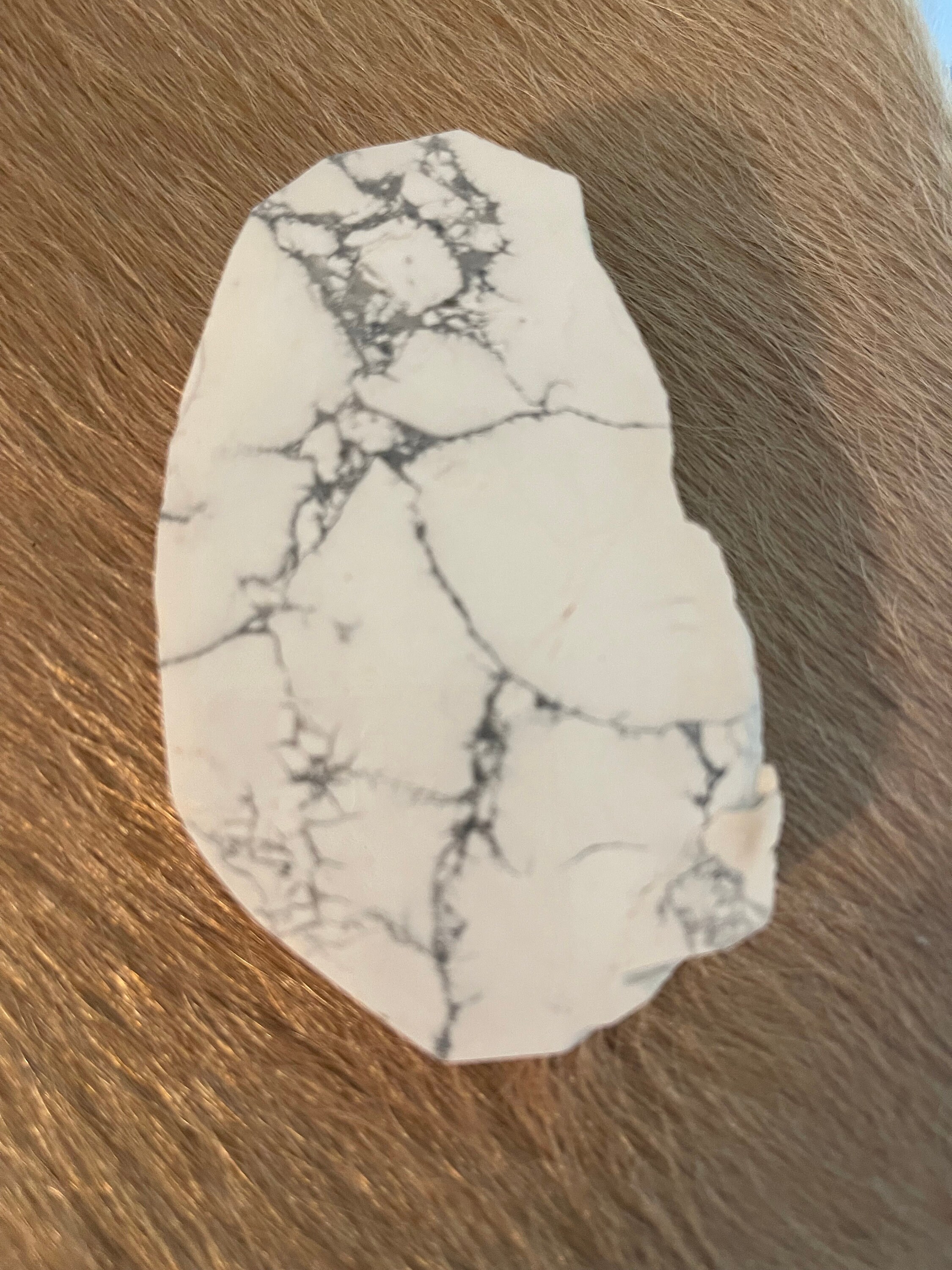 Various Wall Rock Decor With Integrated Bracket Wall or Drawer Pull NWT ...