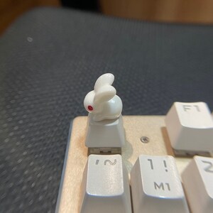 Cute Red Rabbit Keycaps of Cherry MX Mechanical Keyboard, Handmade ...
