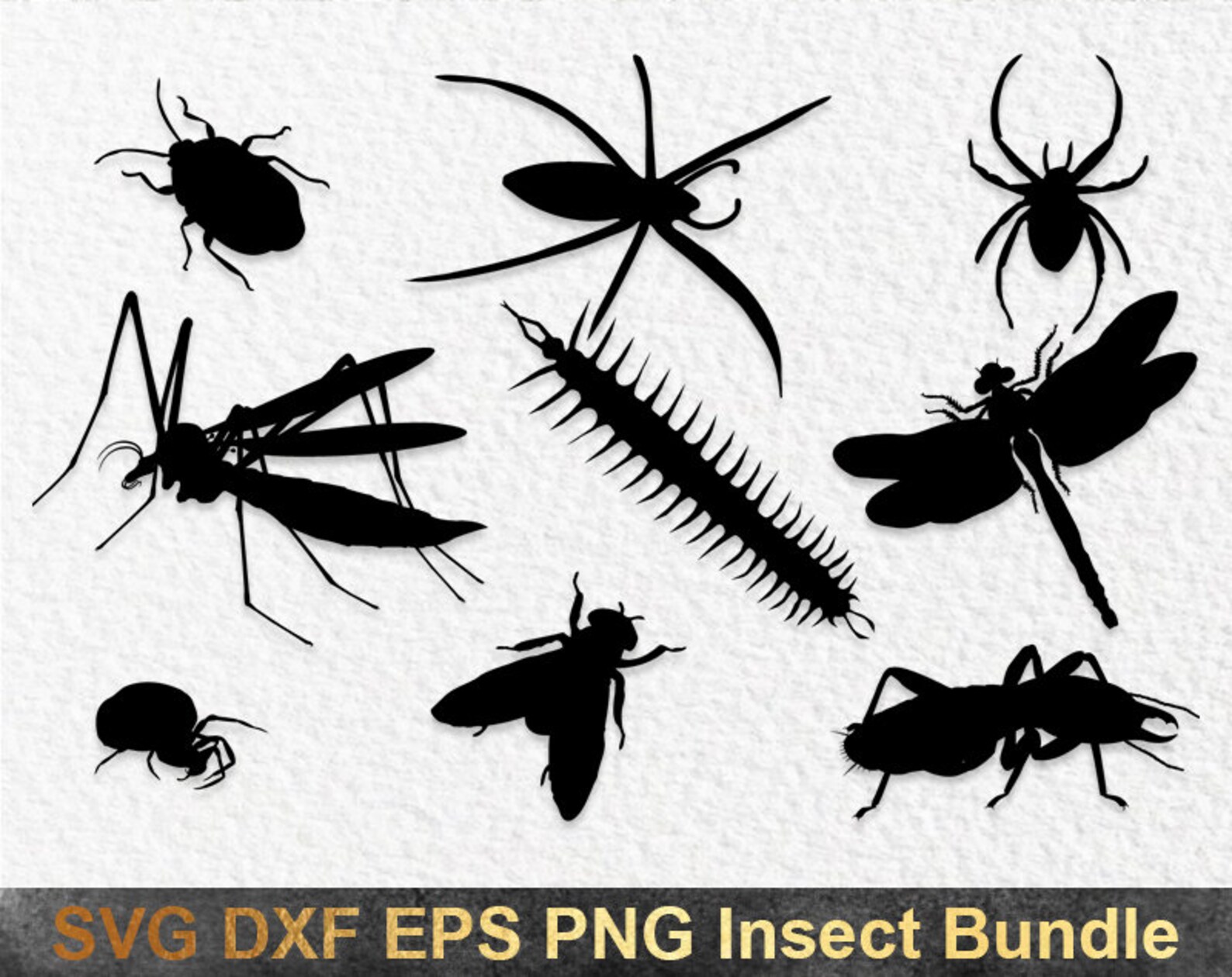 Insect Bundle Svg Cricut Silhouette Spider Mosquito Svg Cockroach ...