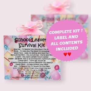 School Leaver's Survival Kit (pink) ~ Fun Novelty Gift & Card ...