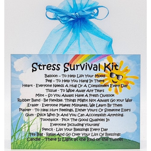 Depression Survival Kit Fun Thoughtful Caring Sentimental - Etsy UK