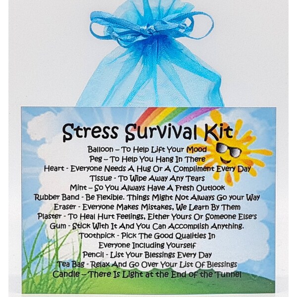 Stress Survival Kit for Employee - Etsy