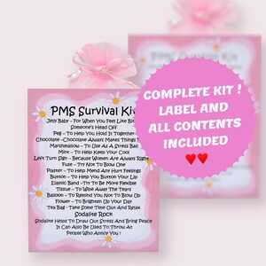 PMS / PMT Survival Kit ~ Fun Novelty Gift & Card Alternative | Birthday ...