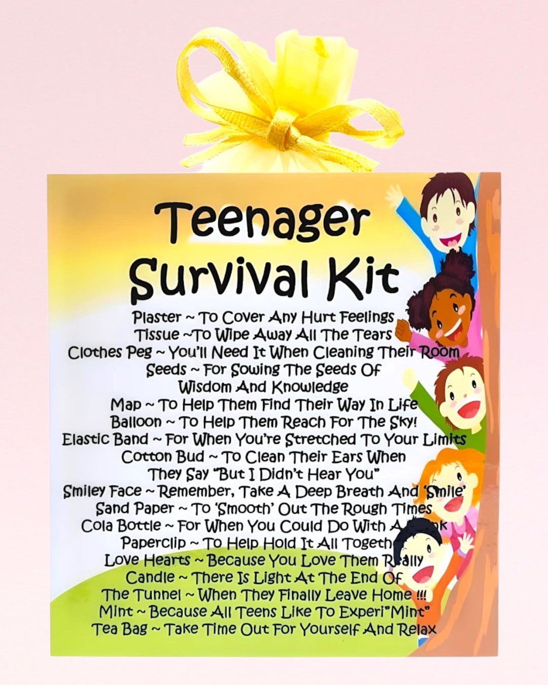 Teenager Survival Kit ~ Fun Novelty Gift & Greetings Card | Keepsake ...