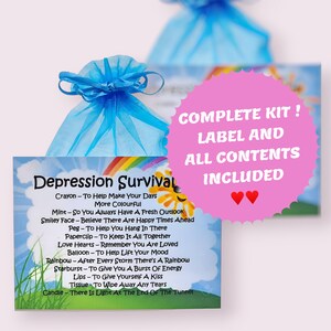 Depression Survival Kit ~ Fun Thoughtful Caring Sentimental Gift ...