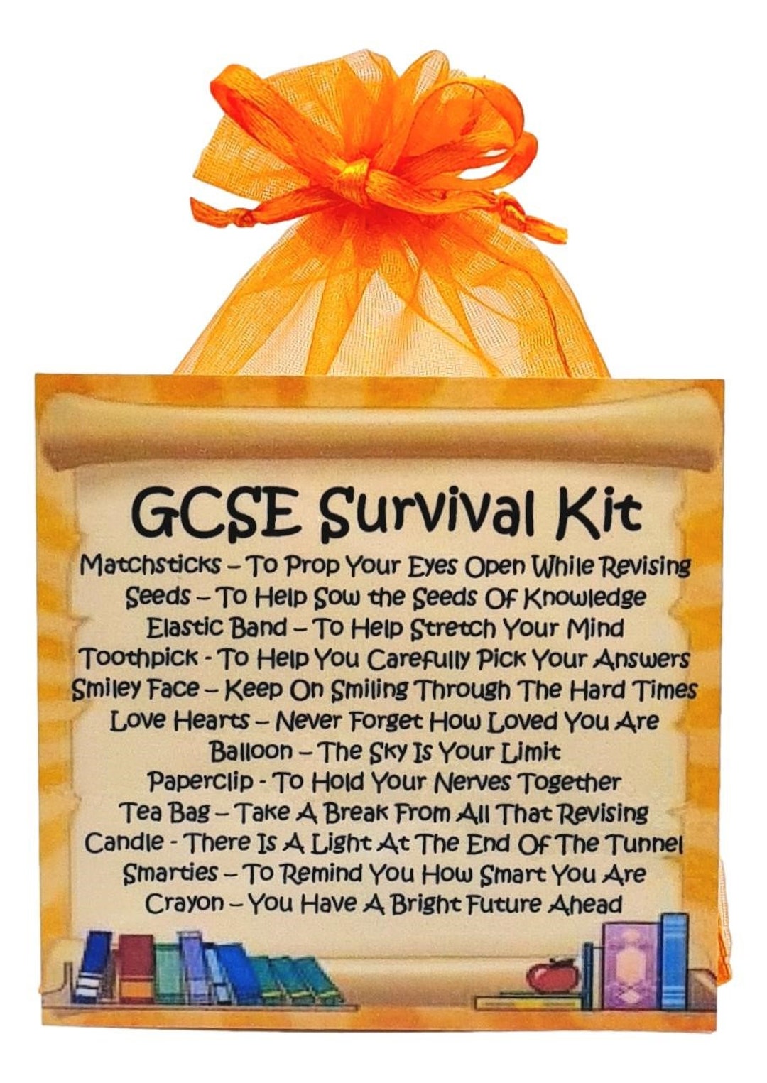 GCSE Survival Kit Fun Novelty Gift and Card Alternative Exam Good Luck ...