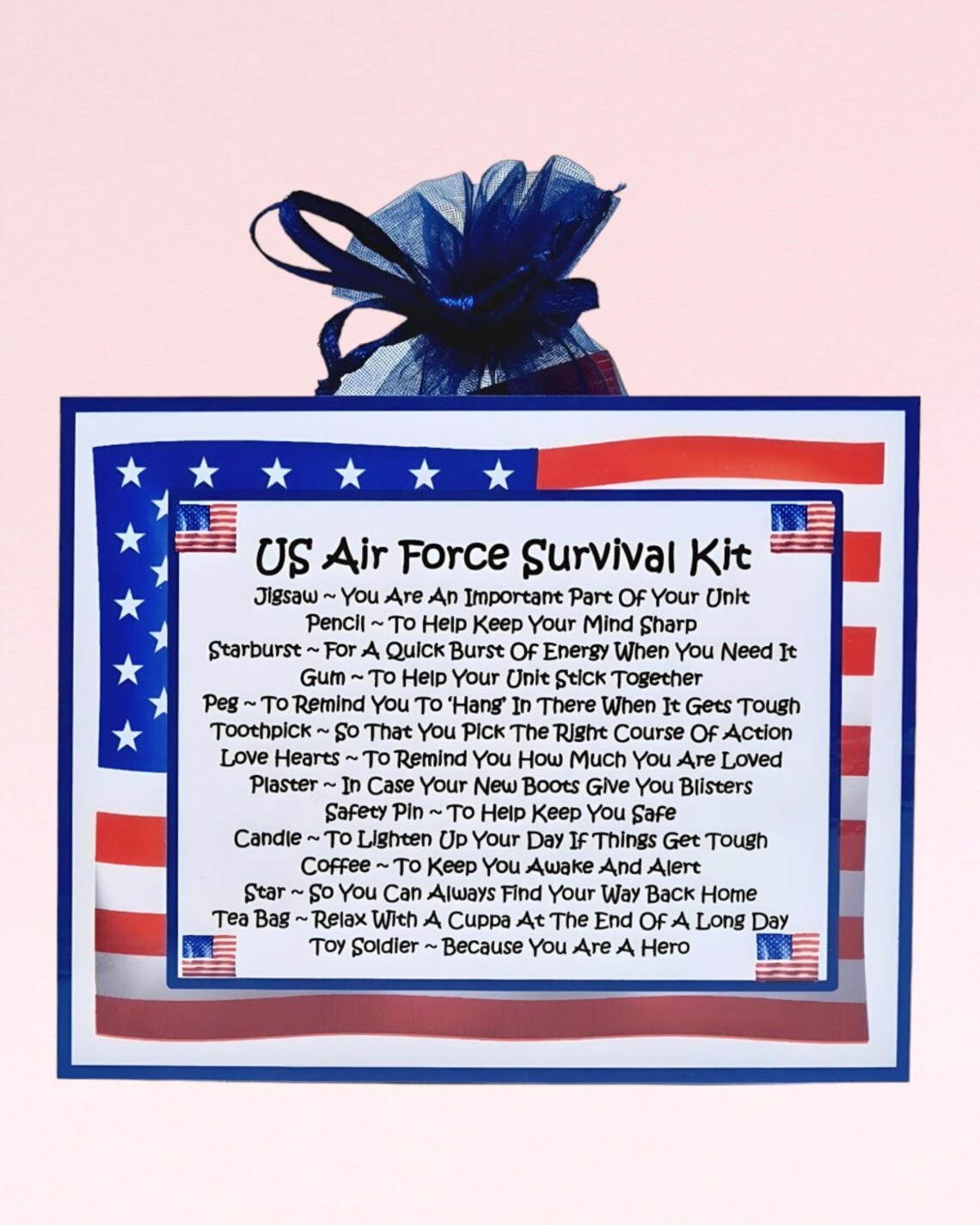US Air Force Survival Kit ~ Fun Novelty Gift & Card Alternative ...