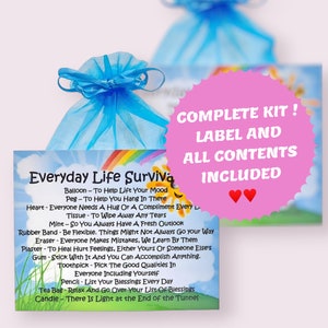 Everyday Life Survival Kit ~ Fun Thoughtful Caring Sentimental Gift ...