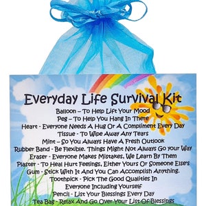 Everyday Life Survival Kit ~ Fun Thoughtful Caring Sentimental Gift ...