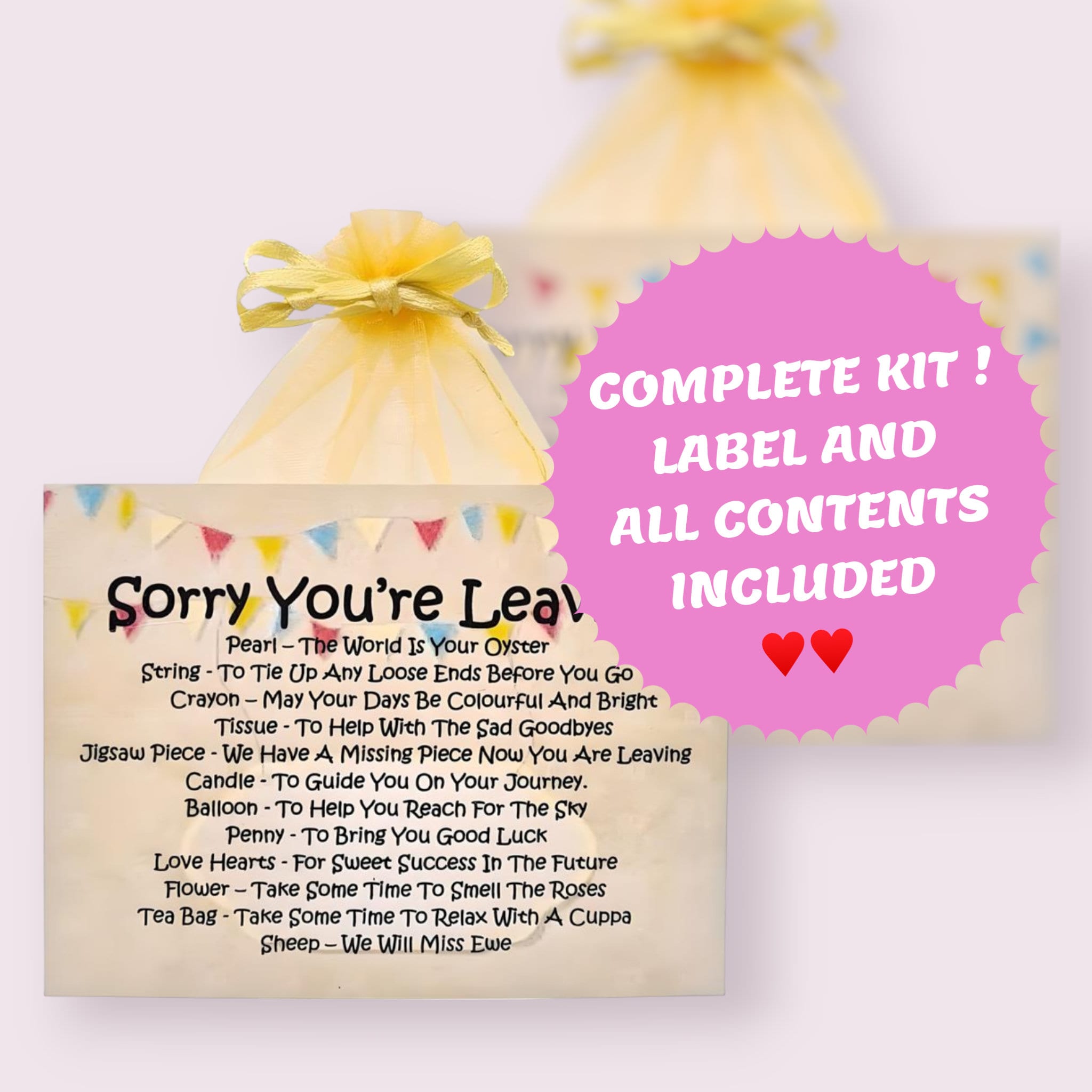 Sorry You’re Leaving Survival Kit ~ Fun Novelty Gift & Card | Good Luck ...