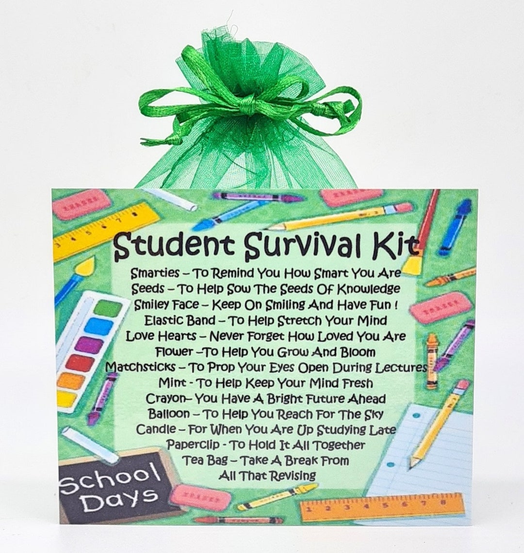 Student Survival Kit Fun Novelty Gift & Card Alternative Present ...