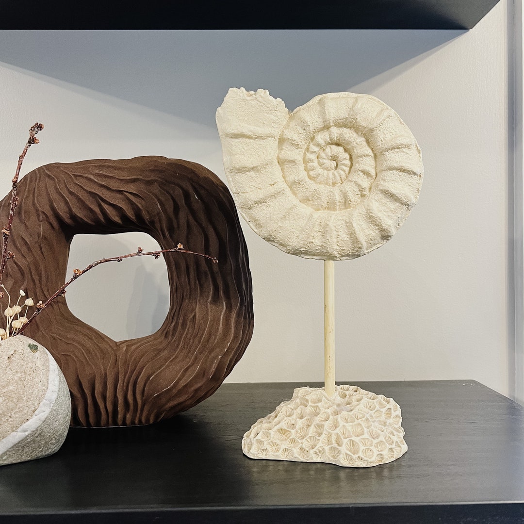 Vintage Ammonite Fossil Sculpture on Stand, Neutral Fossil Shell on ...