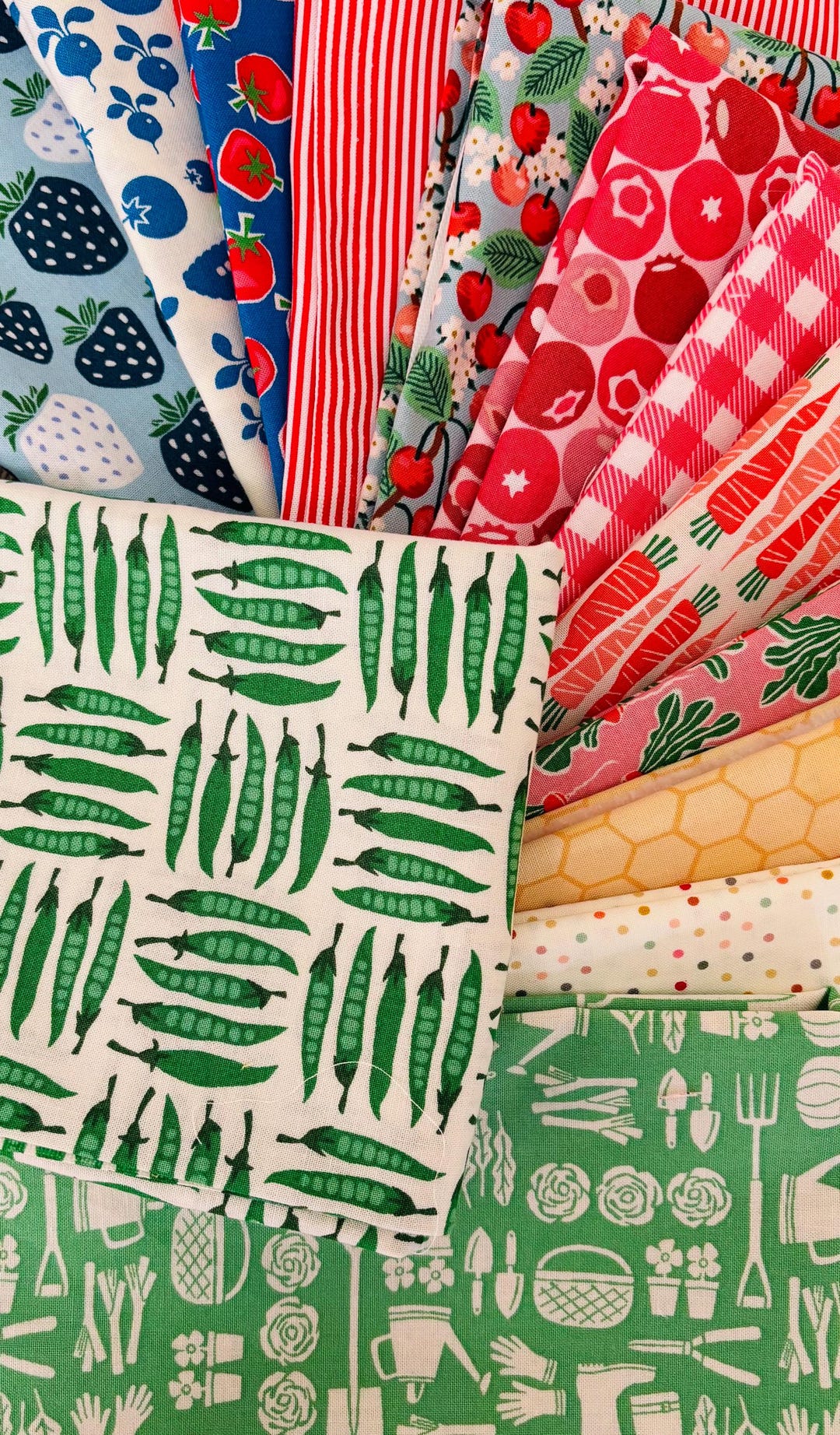 Kitchen Garden Fruit Vegetable Summer Curated Bundle - 13 Piece FQ or 1 ...