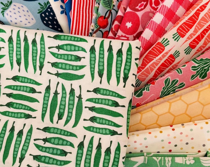 Kitchen Garden Fruit Vegetable Summer Curated Bundle - 13 Piece FQ or 1 ...