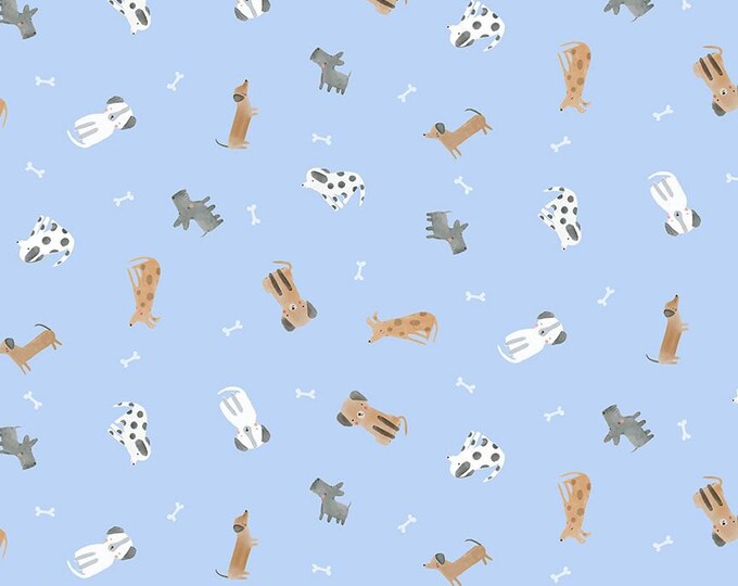 Paws and Reflect the Ultimutts D2316 Azure Dogs Dear Stella Fast ...