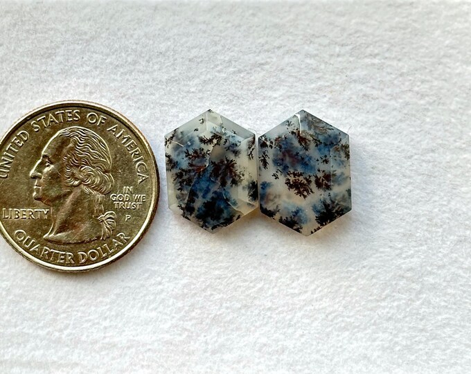 17x13x5mm, Natural Scenic Agate Stone, Dendrite Opal Pair, Dendritic ...
