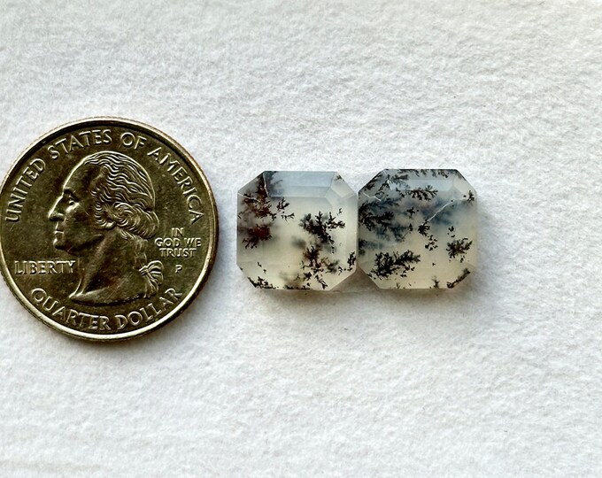 13x13x5mm, Scenic Agate Table Cut Gemstone, Natural Agate Pair ...