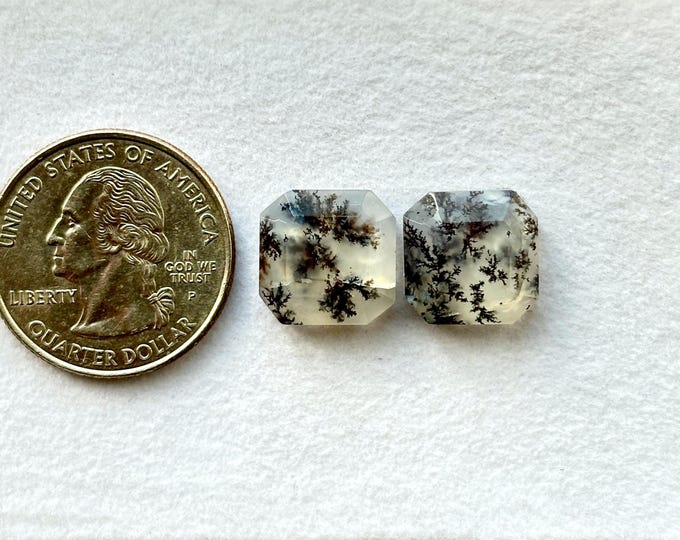 13x13x5mm, Scenic Agate Table Cut Gemstone, Natural Agate Pair ...