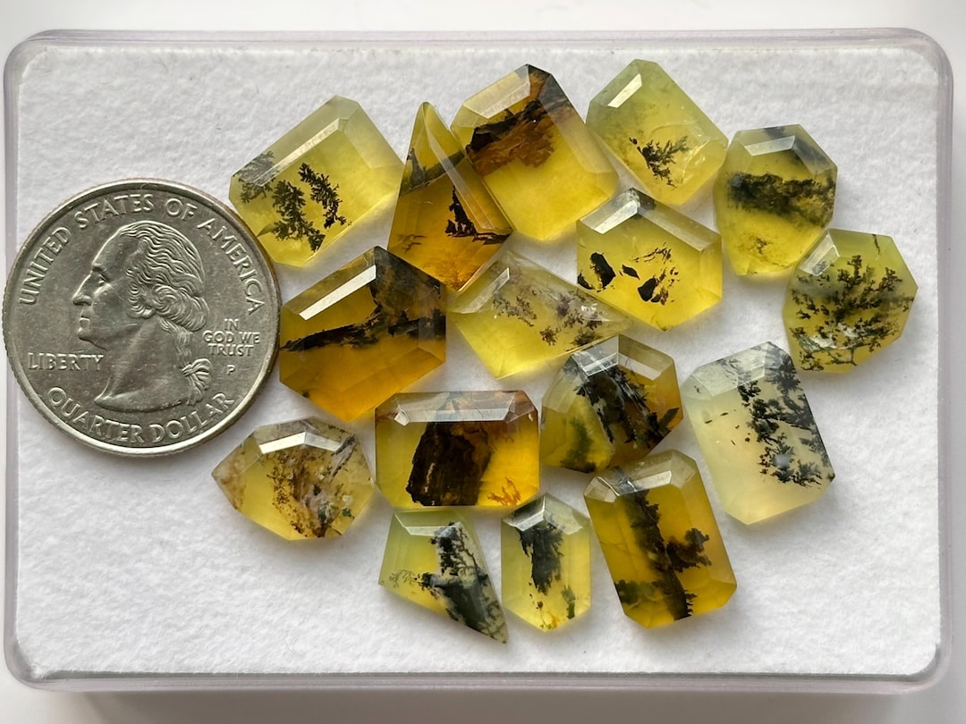 16 Piece Left, Dendritic Amber Step Cut Stone, Scenic Amber Gemstone ...