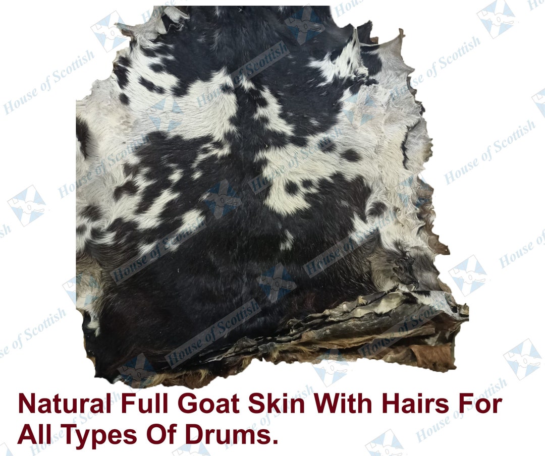 Full Goat Skins With Hair Natural Finish for All Types of Drums ...