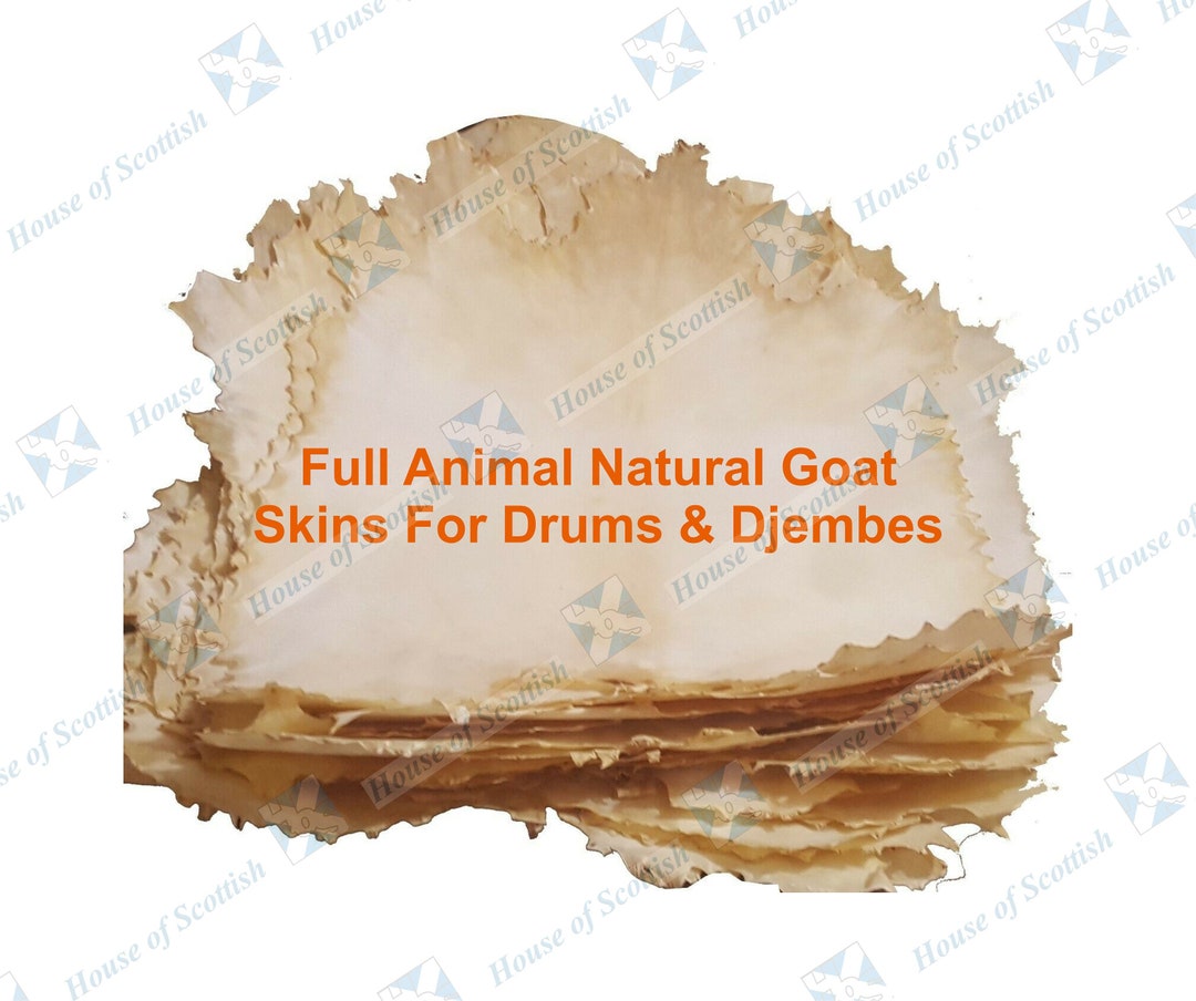 Full Goat Skins Natural Finish for Drums/ Djembes Parchments Painting ...