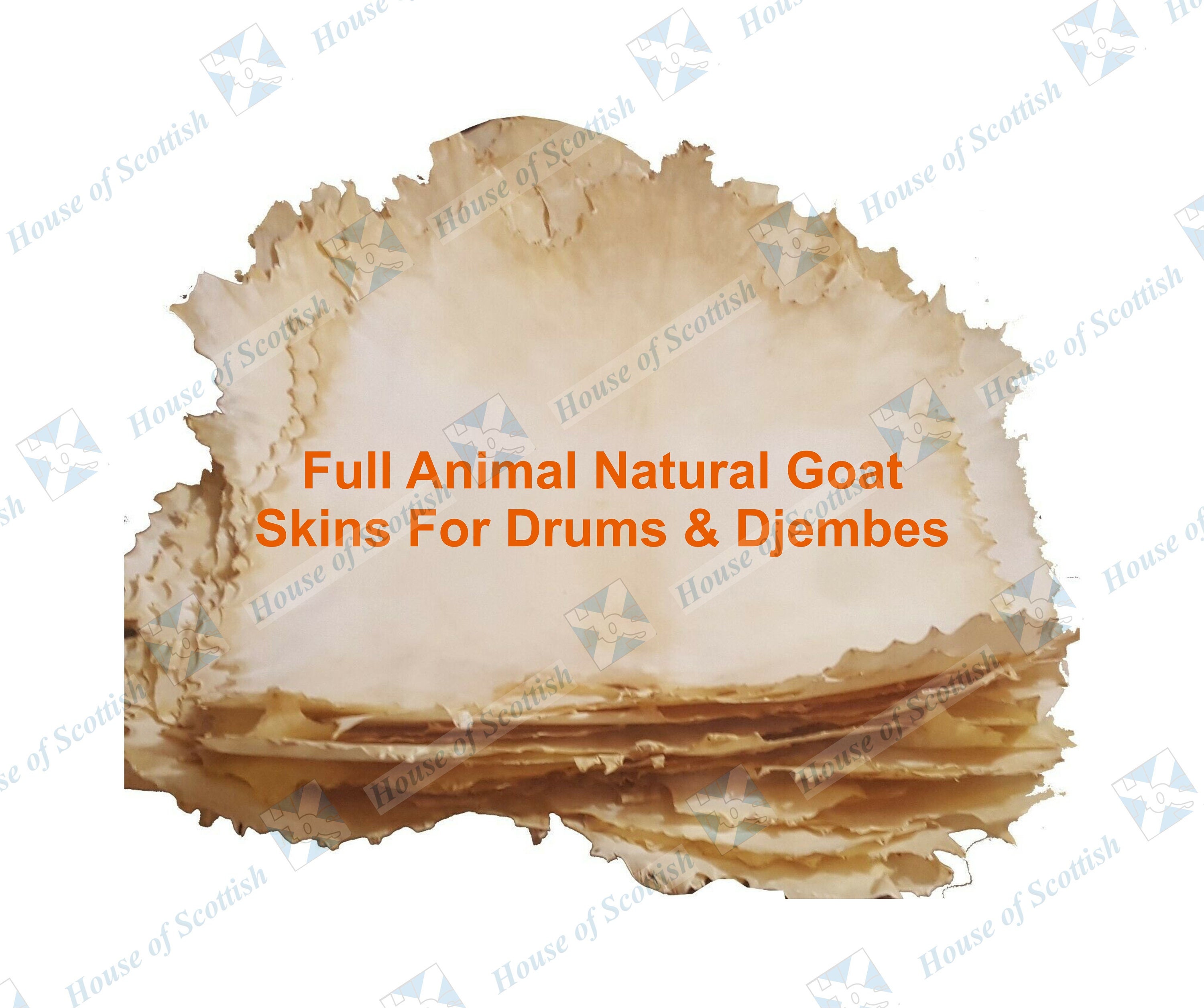 Sheepskin Parchment Paper