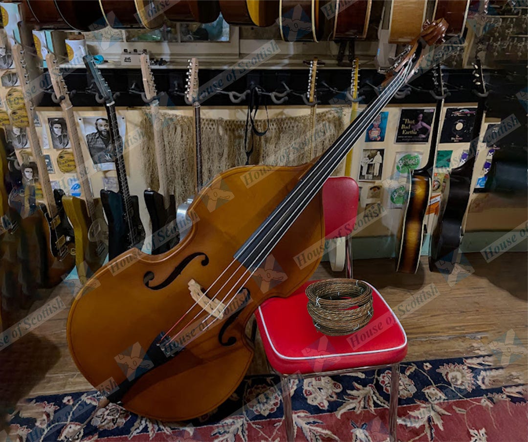 NATURAL CATGUT | Upright Double Bass Strings | Natural Gut Strings for ...