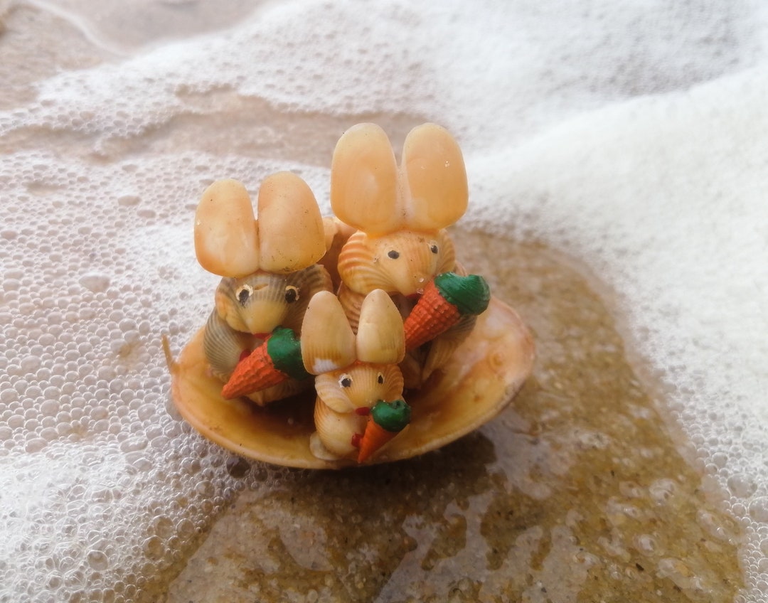Handmade Seashell Rabbits, Home Decor, Costal Ornament, Beach Lover ...