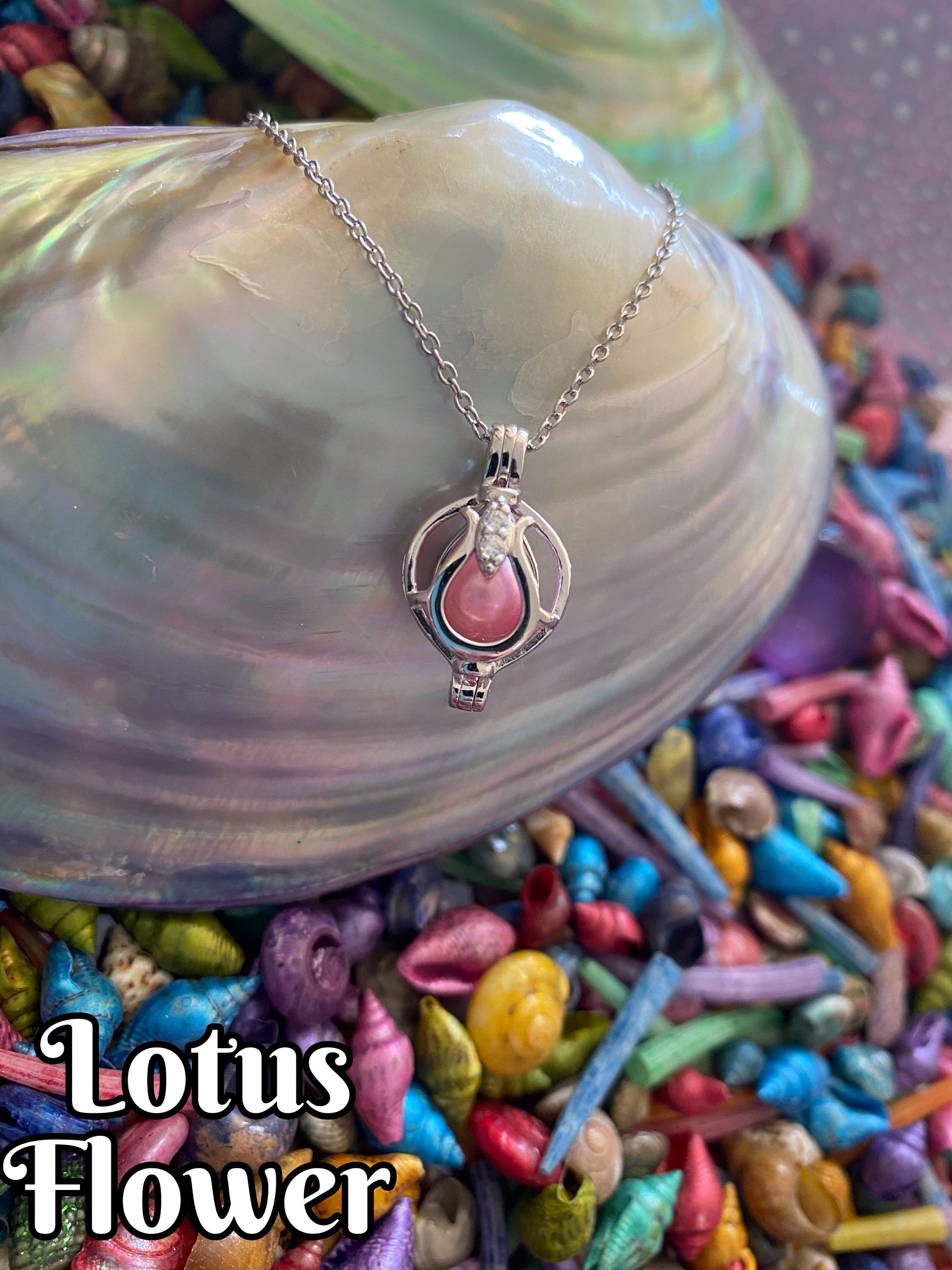 Red Shell Akoya Pearl (single Pearl Oyster) - Etsy