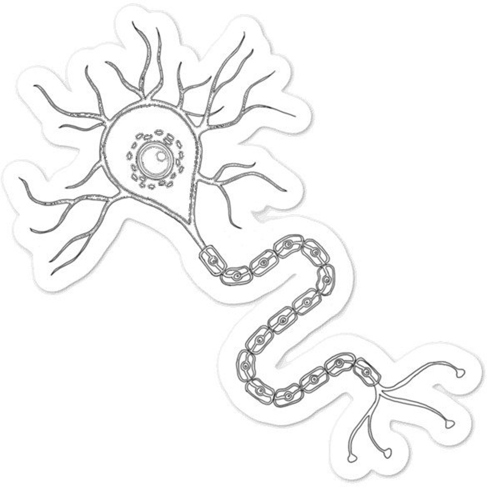 A Day in the Lab Sticker Set 12 Large - Etsy Canada