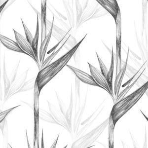 Botanical Inkscape Wallpaper. Removable Peel and Stick Wallpaper and ...