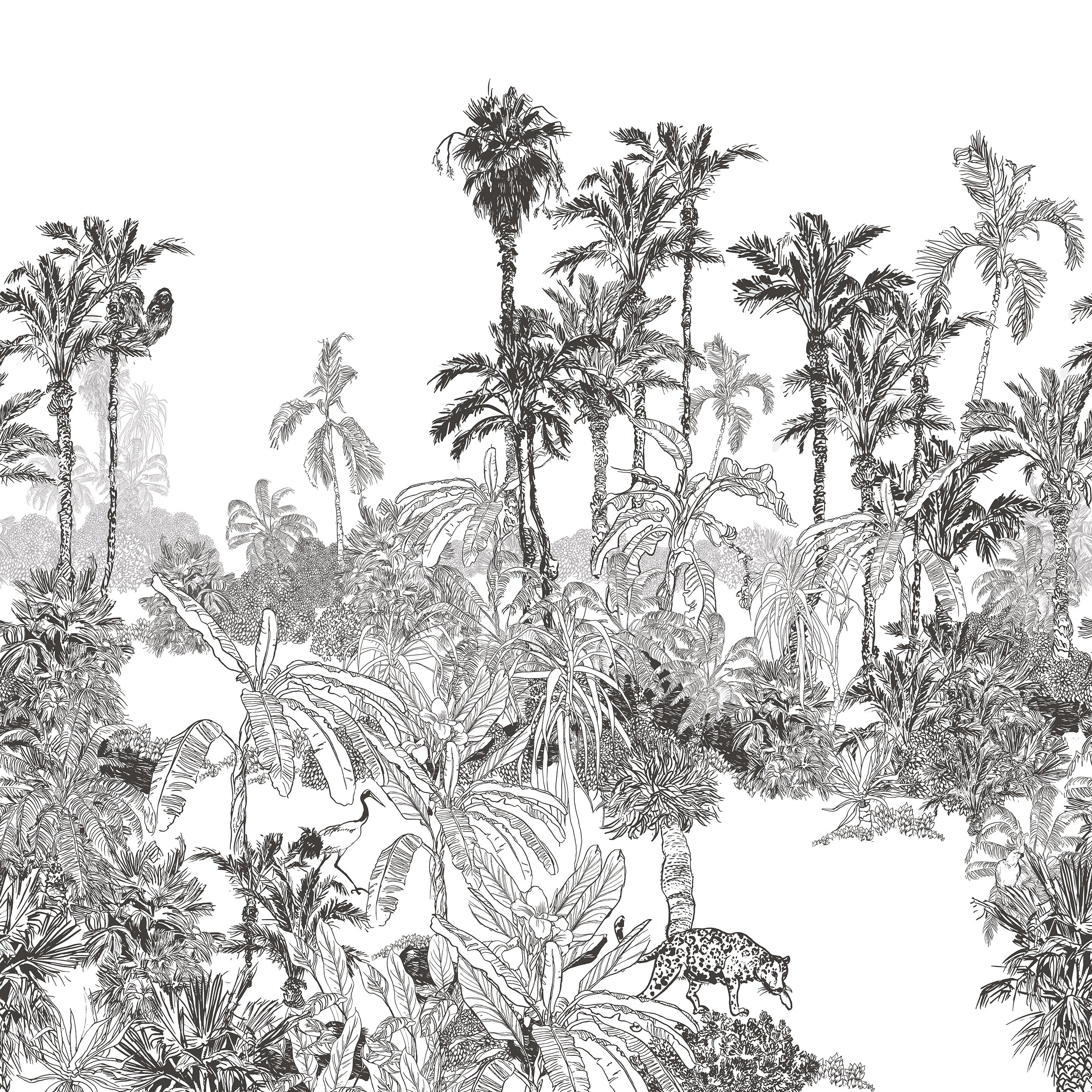 Safari Palm Wallpaper. Tropical. Black Wallpaper. Floral Wallpaper ...
