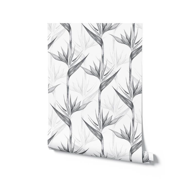 Botanical Inkscape Wallpaper. Removable Peel and Stick Wallpaper and ...