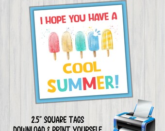 Have A Ball This Summer Year End Last Day of School Favor Tag - Etsy