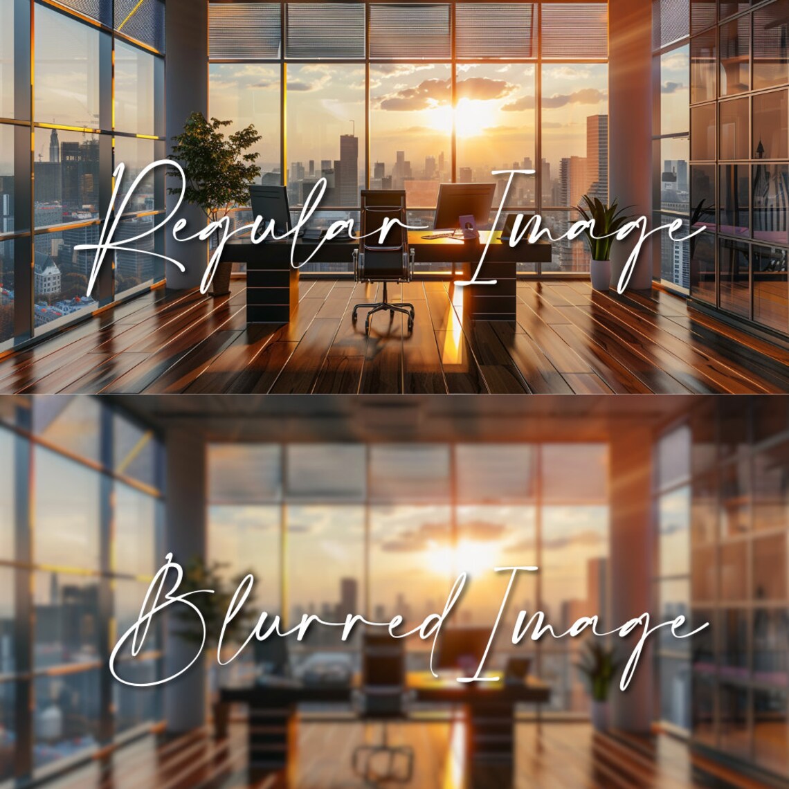 Sunset Virtual Background Bookshelf for Zoom Meetings, Home Office ...