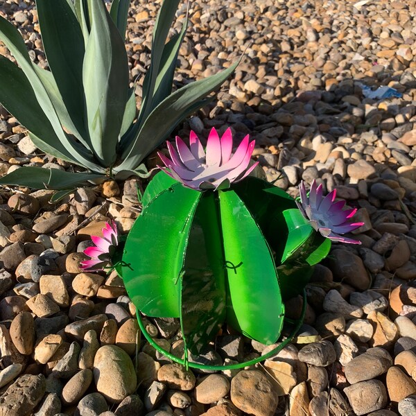 Metal Barrel Cactus - Etsy