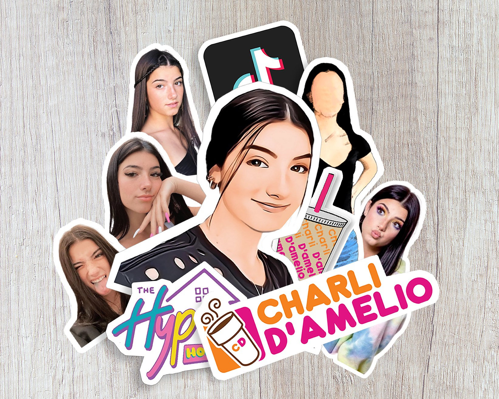 Charli DAmelio TikTok Glossy Sticker Pack 10 Charli - Etsy España
