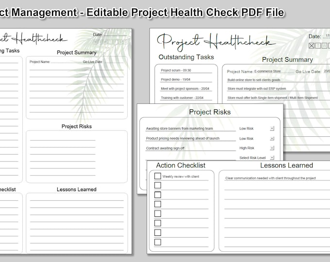Project Management Editable/printable Project Health Check PDF File - Etsy