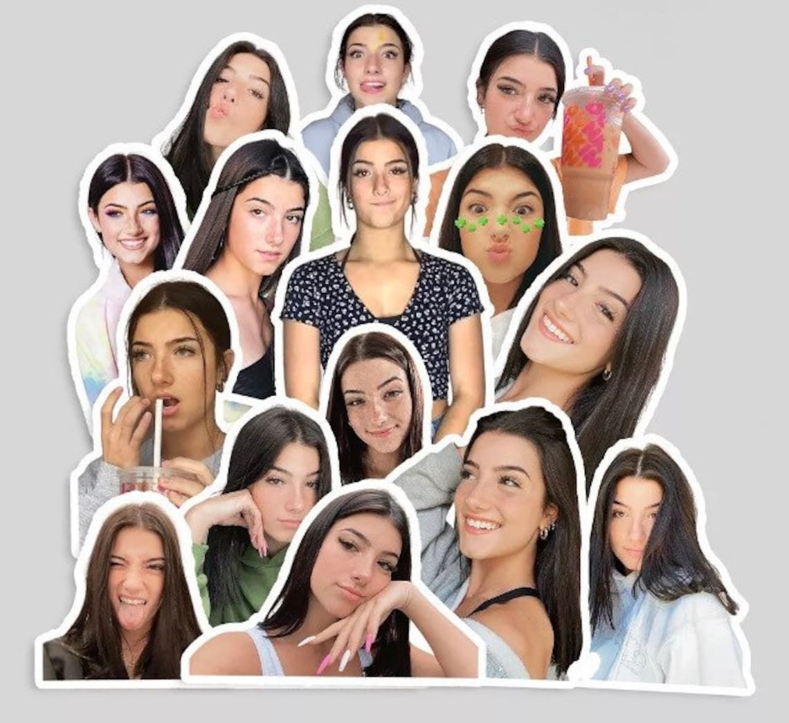 15 Charli Damelio Tiktok Glossy Sticker Pack - 15 Charli D'amelio ...