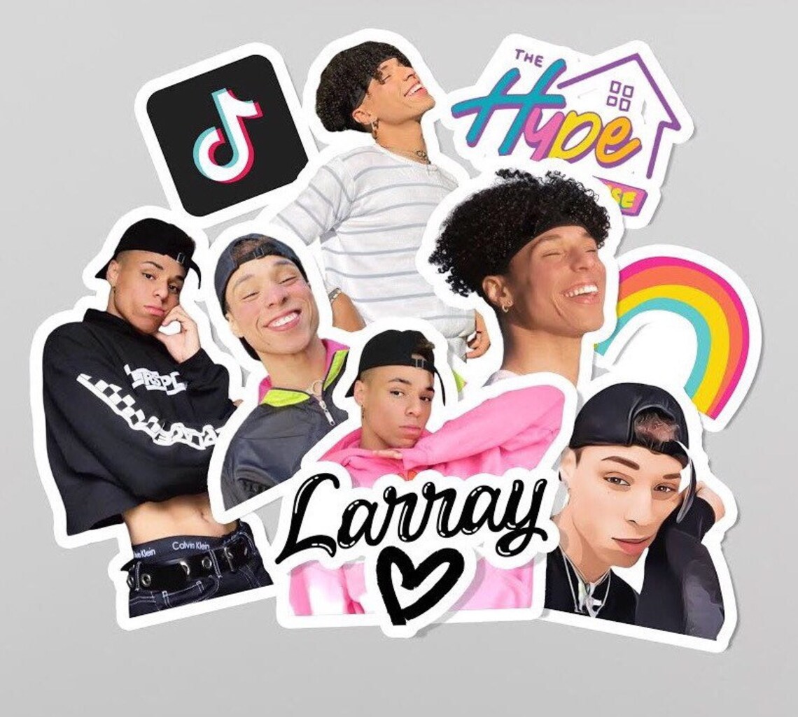 Larray Tiktok Glossy Sticker Pack 10 Larri Merritt Stickers - Etsy