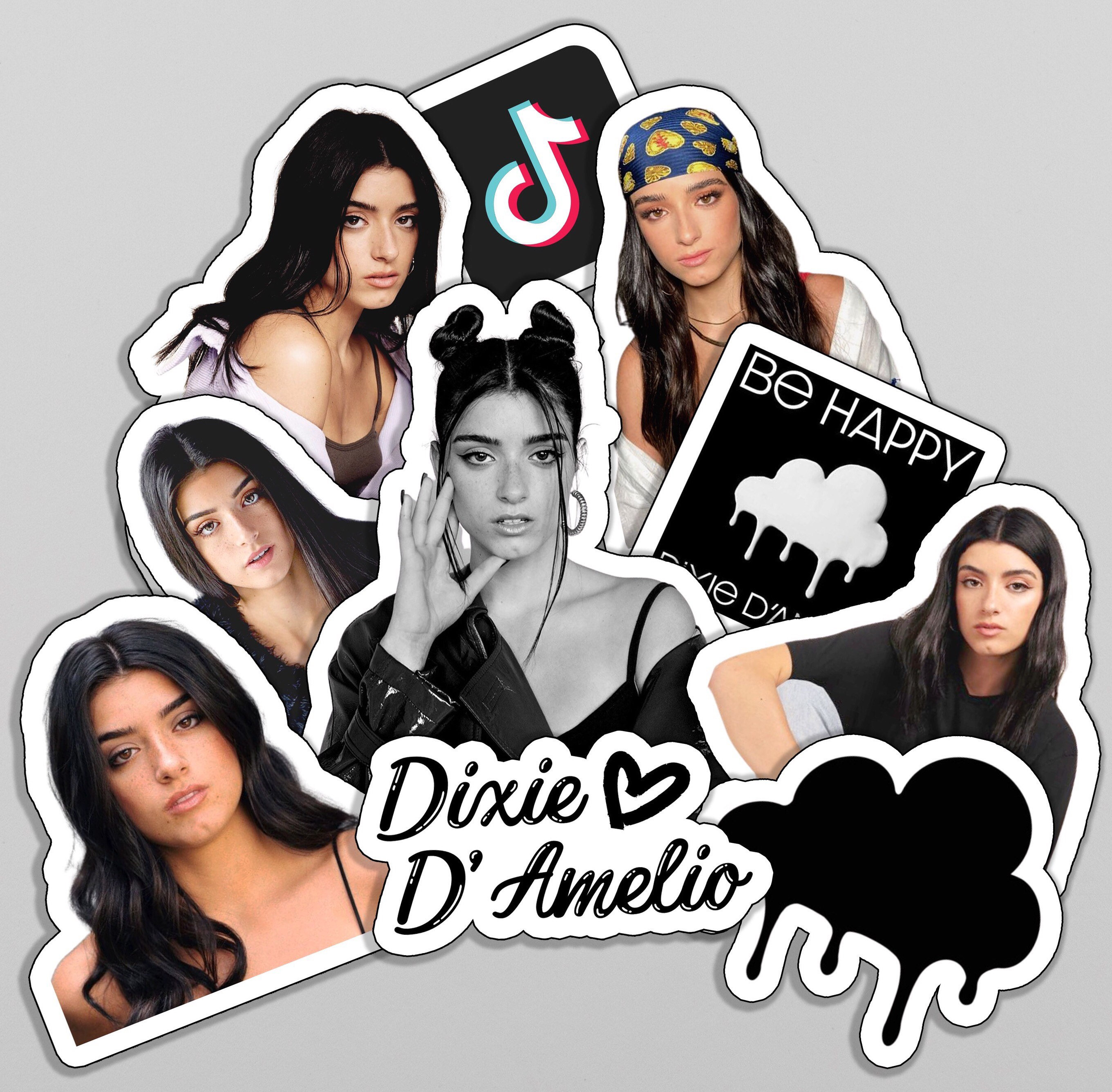 Dixie DAmelio TikTok Glossy Sticker Pack 10 Pegatinas Dixie D'Amelio ...
